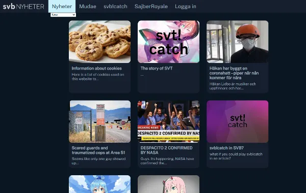 Sofia Lindgren | Portfolio